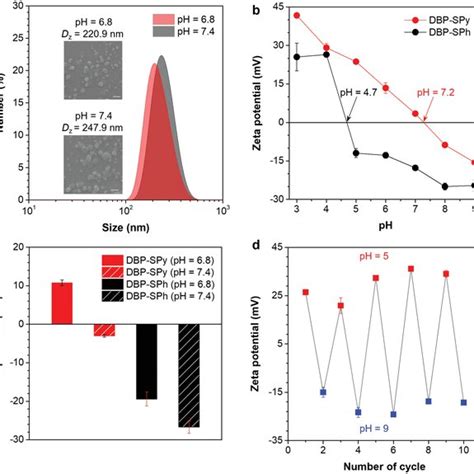 A Size Distributions Of Dbp‐spy Nanoaggregates In Dmsowater Mixtures