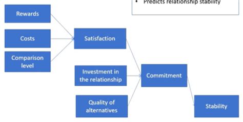 Relationships Exam 2 Sg Flashcards Quizlet
