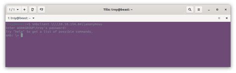 Ctf Writeup Skynet