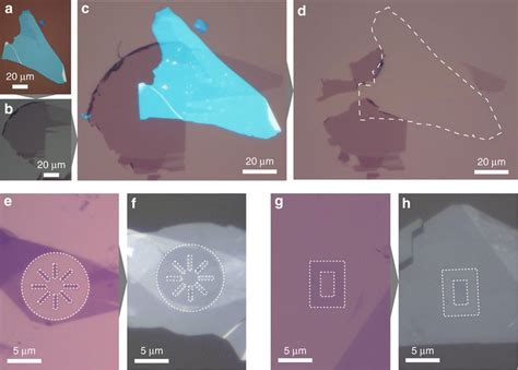 Adhesion Between Pristine And Patterned 2d Materials A Hbn Flakes Download Scientific