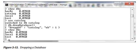using the mongo shell using databases hkt soft