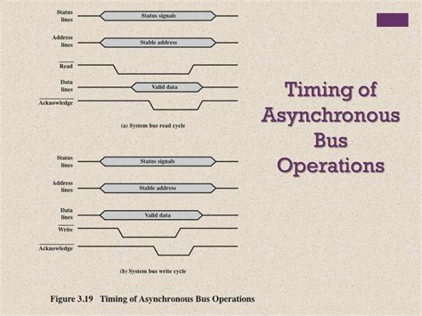 Elements Of Bus Designs ~ Computer Architecture