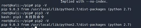python2和3的pip2、pip3在kali上安装 kali上为python2安装pip csdn博客