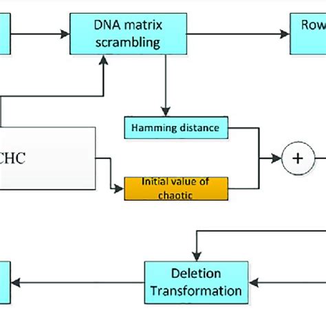The Flowchart Of The Proposed Algorithm Yellow Blocks Are The Input