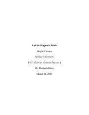 Understanding Magnetic Fields Exploring The Nature And Course Hero