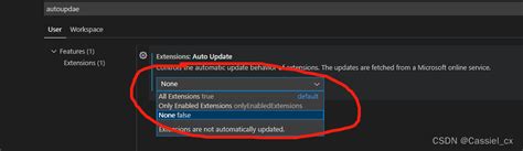 vscode远程连接服务器遇到的问题及解决方法记录一 vscode远程连接 无法打开文件 csdn博客