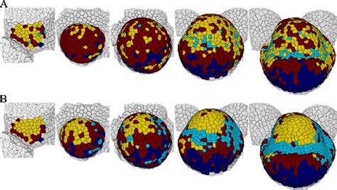 7 Comparison Of The Restoration Of Hidden States Using The Viterbi Like Download Scientific
