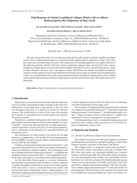 Pdf Pulp Response Of Anionic Lyophilized Collagen Matrix With Or Without Hydroxyapatite After