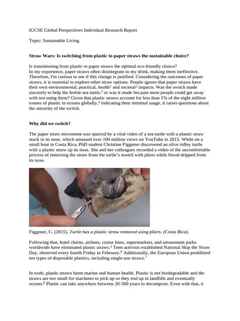 Igcse Global Perspectives Individual Research Report Pdf