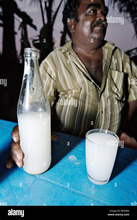 Toddy Is Palm Wine Its Popular In Backwaters Of Kerala India Stock