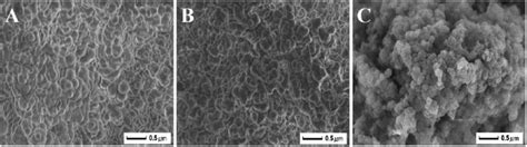 SEM Images A MIPs B Unextracted MIPs And C NIPs Download Scientific Diagram