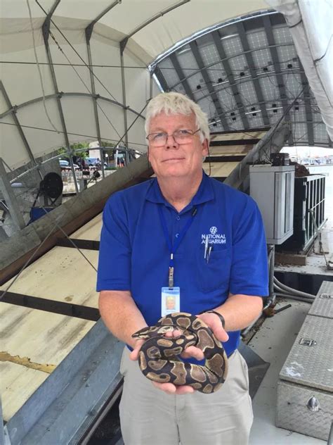Photos Python Sneaks Into Inner Harbor Water Wheel Wbal Baltimore News