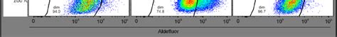 characterization and identification of stemness properties in primary