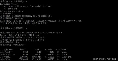linux文件系统的简单操作（查看磁盘和进行分区与格式化） linux 格式化分区 csdn博客