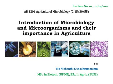 SOLUTION Introduction Of Microbiology And Microorganisms And Their Importance In Agriculture