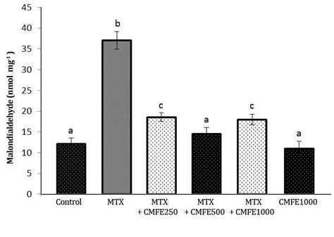 Comparison Of Testicular Mda Levels In Different Groups Abc Different