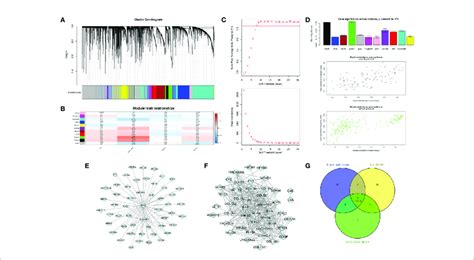 Identification Of Modules Associated With The Gleason Score In The