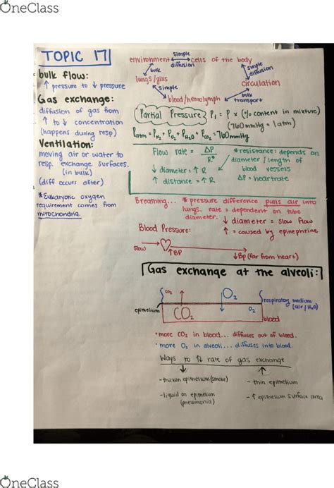 BIO Midterm EXAM STUDY GUIDE OneClass