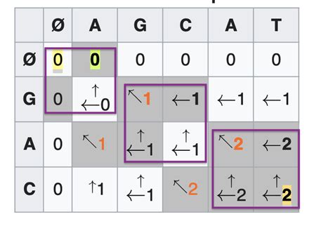 Least Common Subsequence Om Time To Compute Ralgorithms