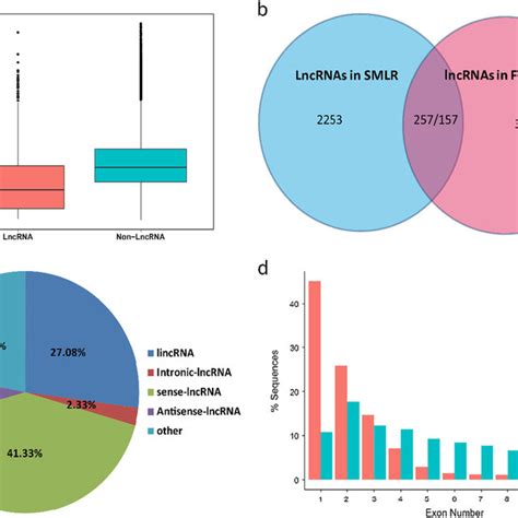 Long Noncoding Rna From Smrt A Boxplot Showing The Sequence Length Of