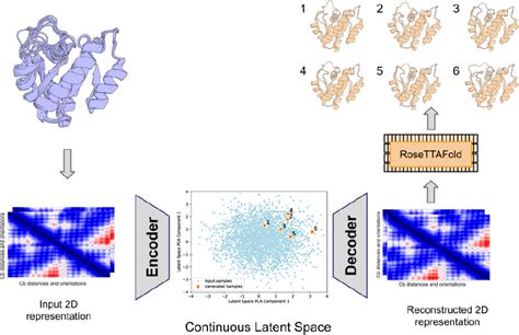 Protein Ensemble Generation Through Variational Autoencoder Latent