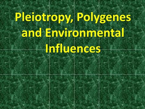 Ppt Pleiotropy Polygenes And Environmental Influences Powerpoint