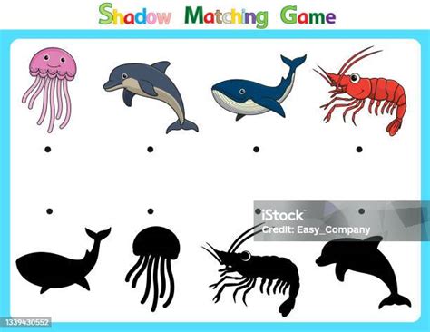 다른 모양의 그림자를 학습하기위한 벡터 그림입니다 어린이를위한 마녀 4 만화 이미지 해파리 돌고래 고래 새우 돌고래에 대한 스톡 벡터 아트 및 기타 이미지 Istock