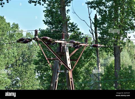High Voltage Electric Wires Among Trees Danger Stock Photo Alamy