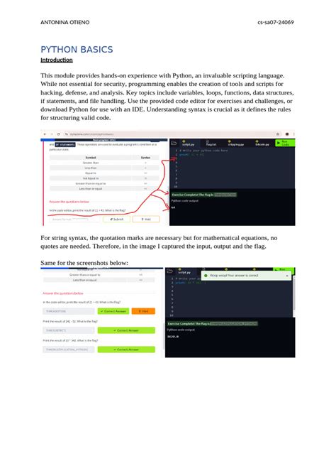 PYTHON BASICS | PDF