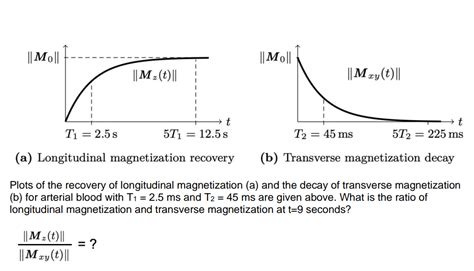 Solved A Longitudinal Magnetization Recovery B