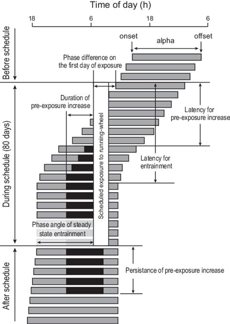 Schematic Presentation Of Analytic Parameters Used In The Present