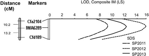 Composite Interval Mapping Im Of Leaf Rust Resistance In The