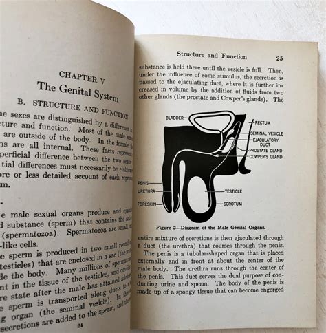 Sex Education Book Health Guides And Guards Syphilis Etsy