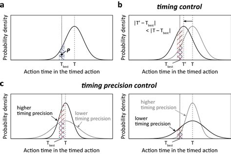 Control Of Timing And Timing Precision For Better Timed Action” A Download Scientific