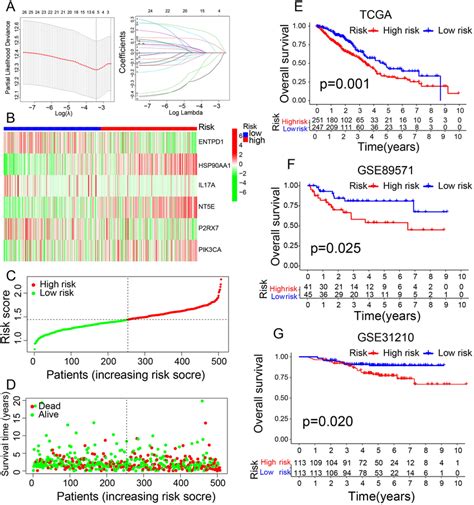 Construction And Validation Of Icd Related Classification A Lasso Download Scientific