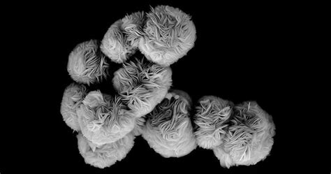 Graphene Metamaterials Jrk Zu