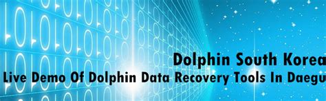 live demo of dolphin data recovery tools in south korea dolphin data lab
