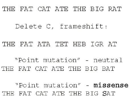 A A Mutation Forward Mutation A A Reverse