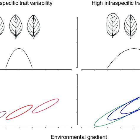 Conceptual Links Between Intraspecific Trait Variability And Niche Download Scientific Diagram