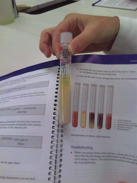 Microbiology Lab Lab 10 25 Water Filtration Plant And Tests