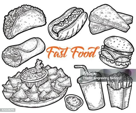 패스트 푸드 벡터 손으로 그린 세트 Engarving 그림입니다 다른 유형의 지방 정크 푸드입니다 글루텐 핫도그 햄버거 타코 버 리 토 튀김 감자 옥수수 파히타 새겨진 흰색