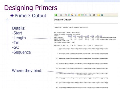 Ppt Primer Design Powerpoint Presentation Free Download Id152509
