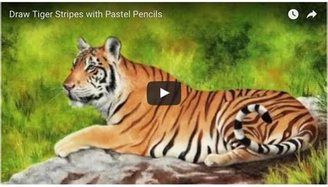 Draw Tiger Stripes Using Pastel Pencils — The Colin Bradley School Of Art