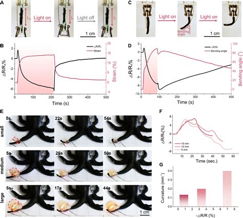 Somatosensory Actuator Based On Stretchable Conductive Photothermally Responsive Hydrogel