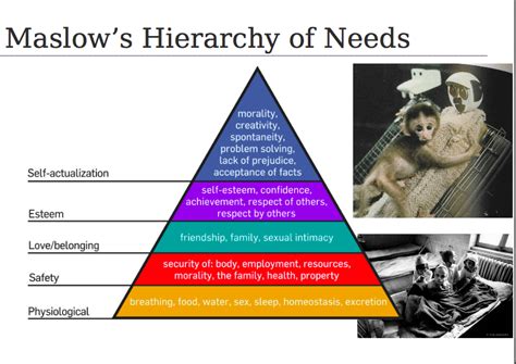 Psychology Chapters 1 3 Test Diagram Quizlet