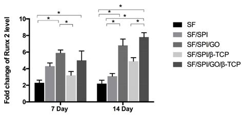 Runx 2 Mrna Expression Of Bmscs On The Sfspi Based Composite Scaffolds Download Scientific