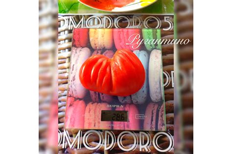 Томат Ругантино, семена