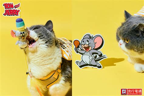 湯姆與傑利85週年 × 頂呱呱51週年 「萌寵躲貓貓丨起司追逐戰」起司與童趣的美味交鋒正式開打！ 蕃新聞