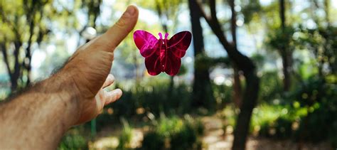 4 Ways To Implement Onclicklistener On Android By Cody Engel Medium