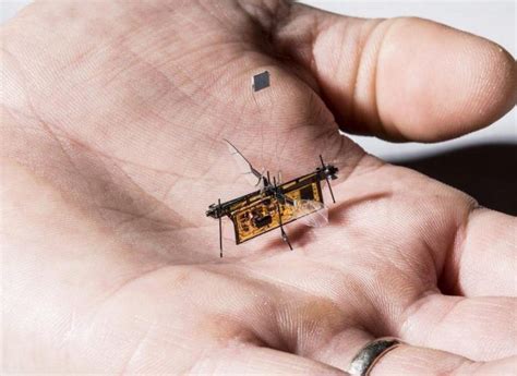 Check Out This Tiny Flying Robot Taking Off For The First Time